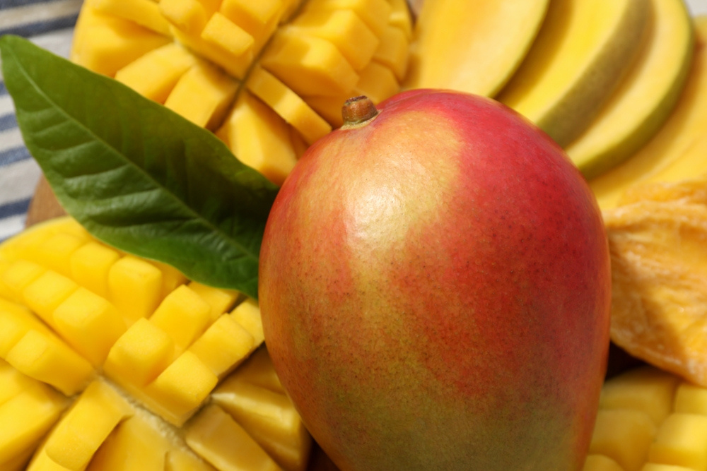 Eclipse Mango | Dorrian Family Farms